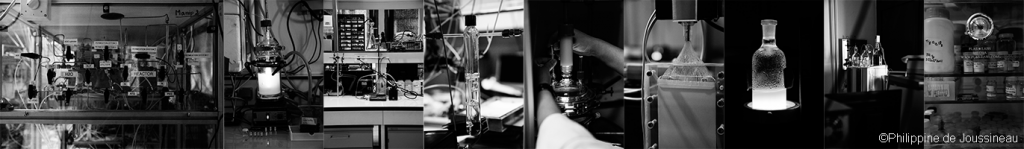 Curriculum vitae de Christian George